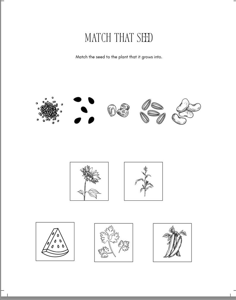 LDS Activity Days Packet: Plants, Seeds, Cuttings, Potting, Plant Craft ...