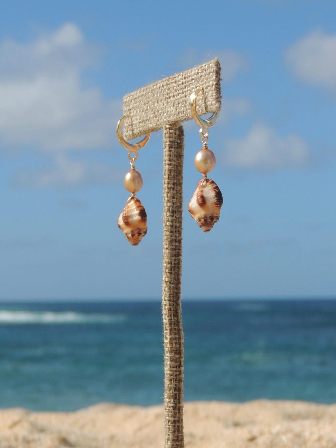 Hawaiian Triton Shell Huggies, 14kt Gold Filled Earrings, Small Brown ...