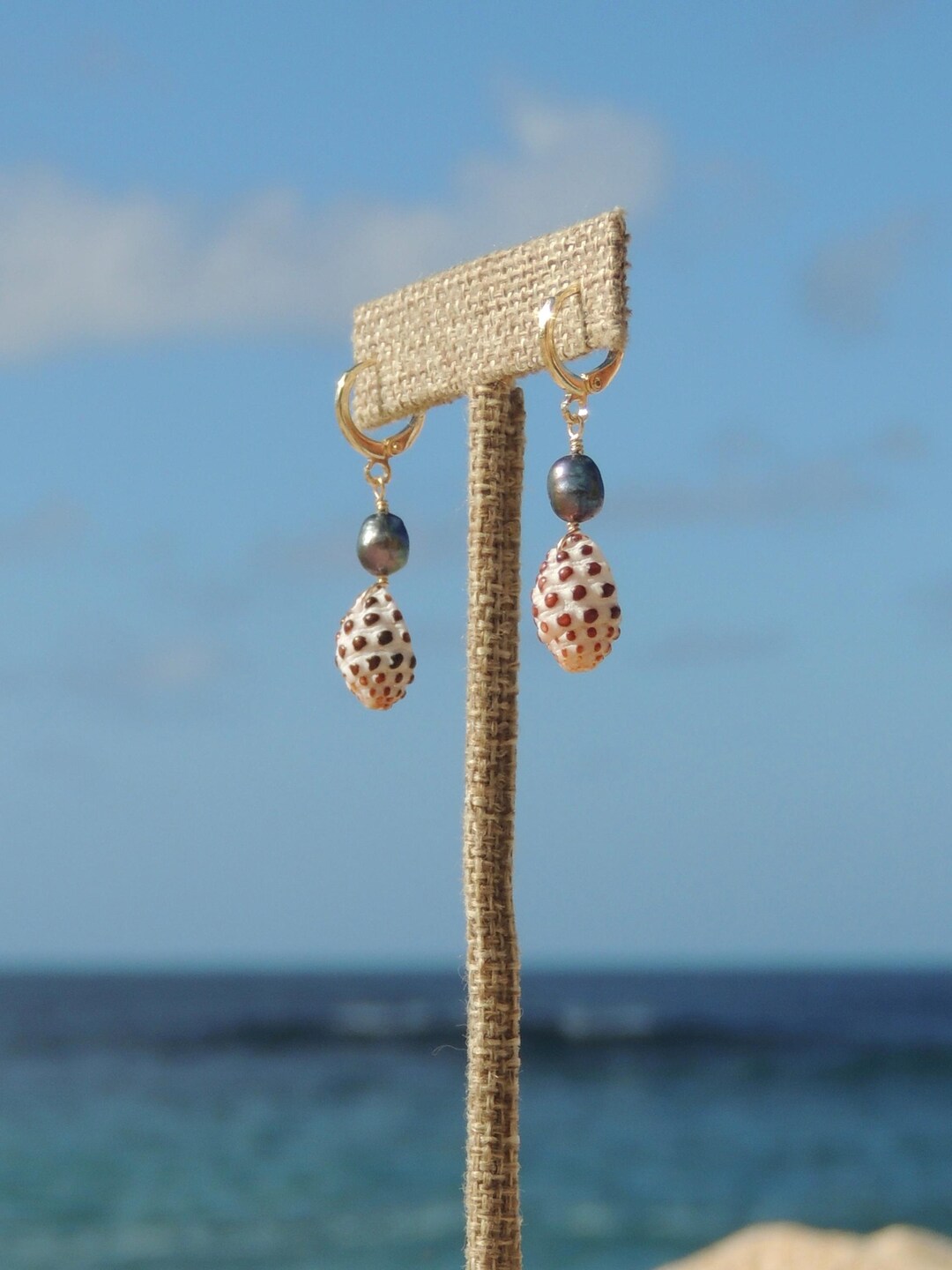 Hawaiian Drupe Shell Huggies, 14kt Gold Fill Earrings, Small B&W ...