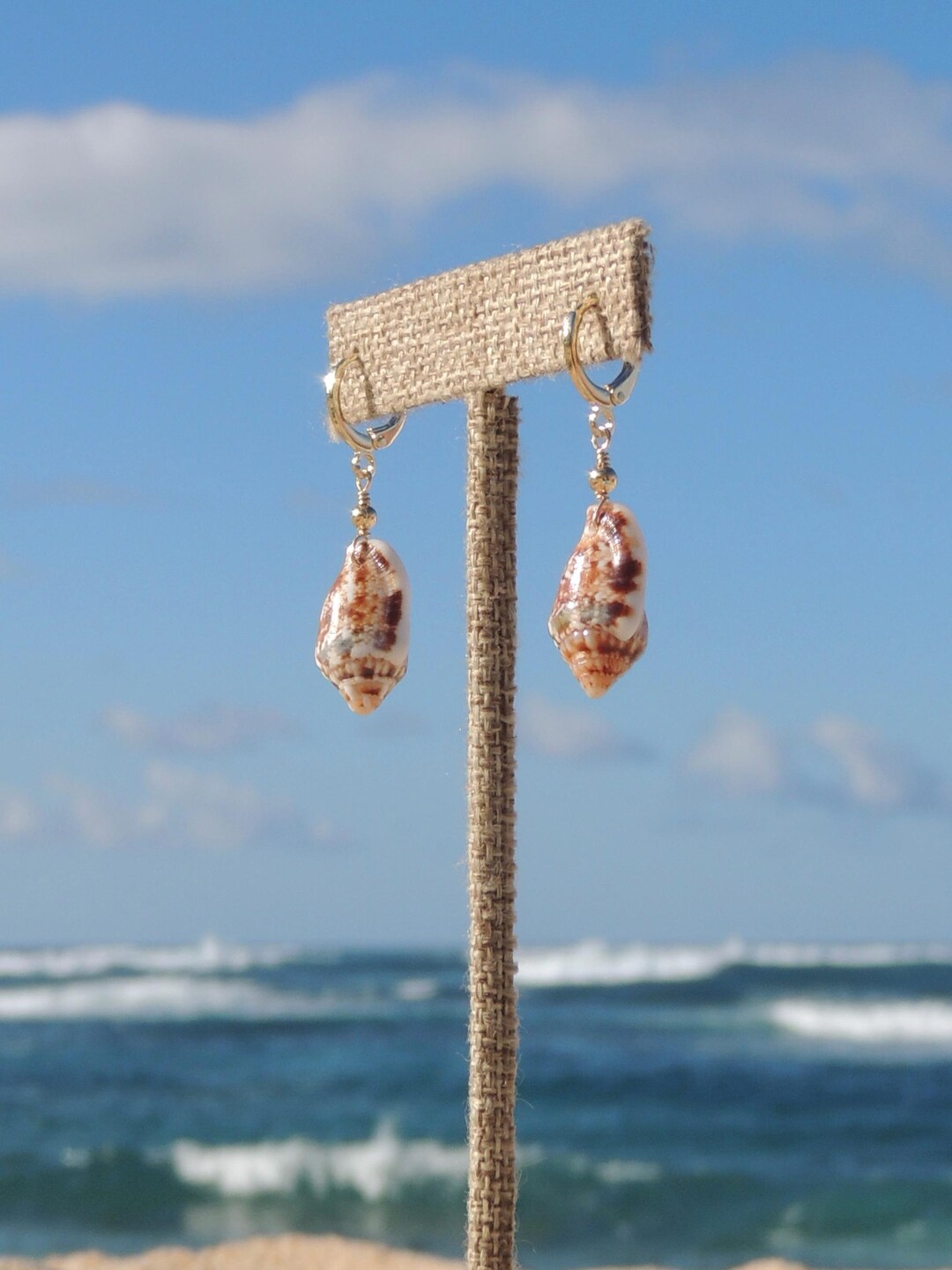 Hawaiian Stromb Shell Huggies, 14kt Gold Filled Earrings, Mini Hawaii ...