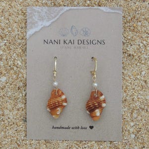Hawaiian Triton Shell Huggies, 14kt Gold Filled Earrings, Mini Brown ...