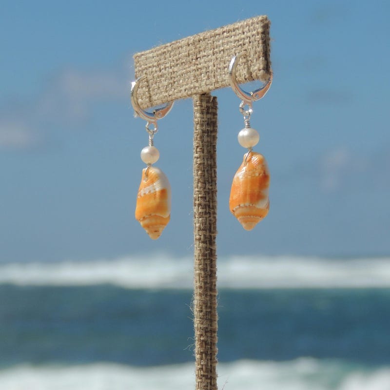 Orange Seashells - Etsy