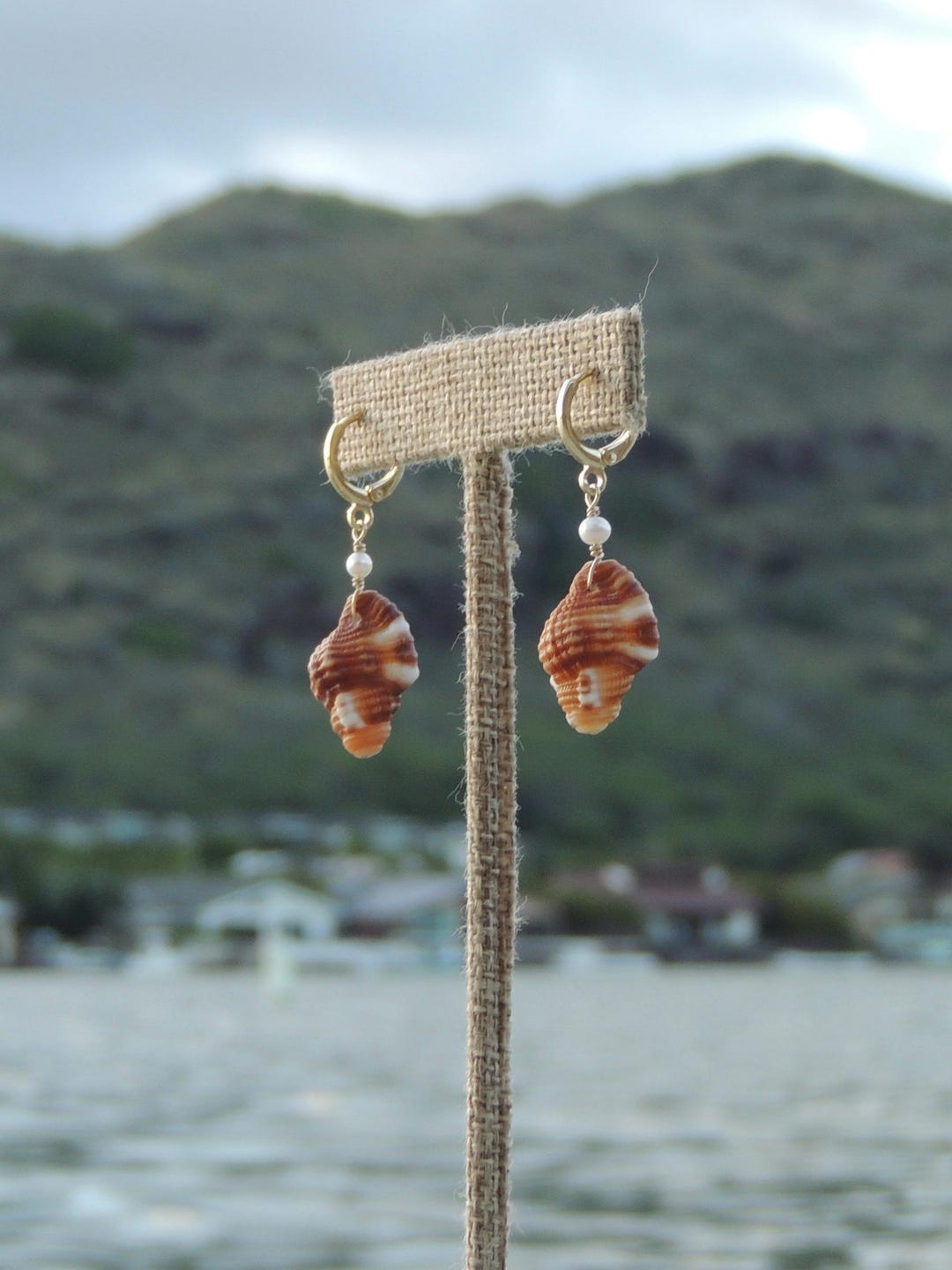 Hawaiian Triton Shell Huggies, 14kt Gold Filled Earrings, Mini Brown ...
