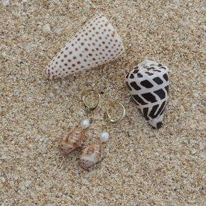 Hawaiian Triton Shell Huggies, 14kt Gold Filled Earrings, Mini ...