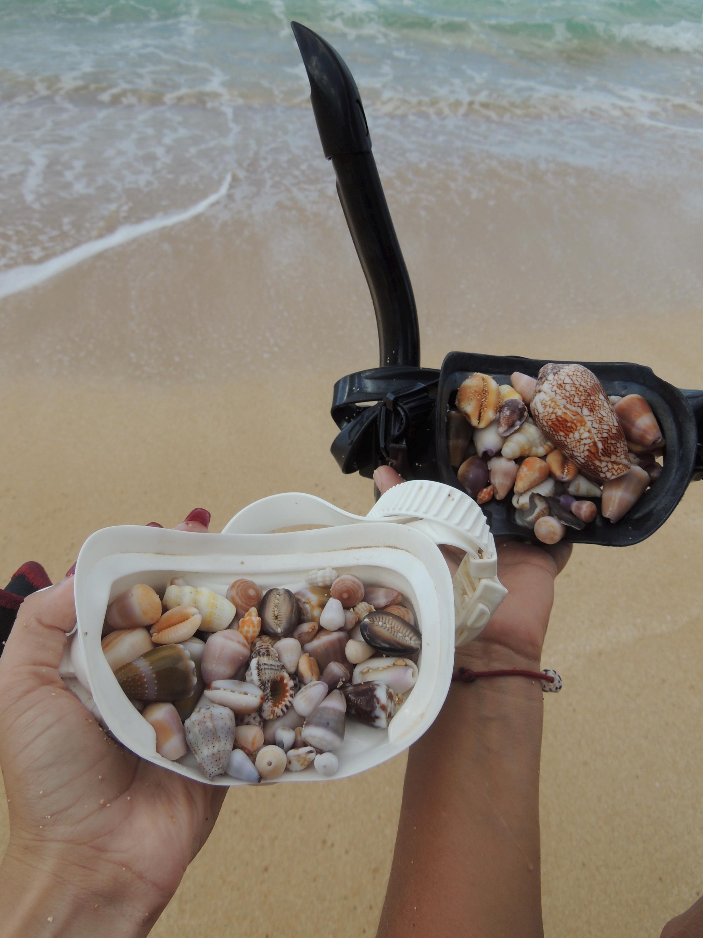 Hawaiian Cone Shell Necklace, White Pearls, Pastel Seashell, Gifts for ...