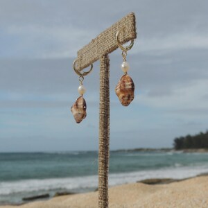 Hawaiian Triton Shell Huggies, 14kt Gold Filled Earrings, Mini ...