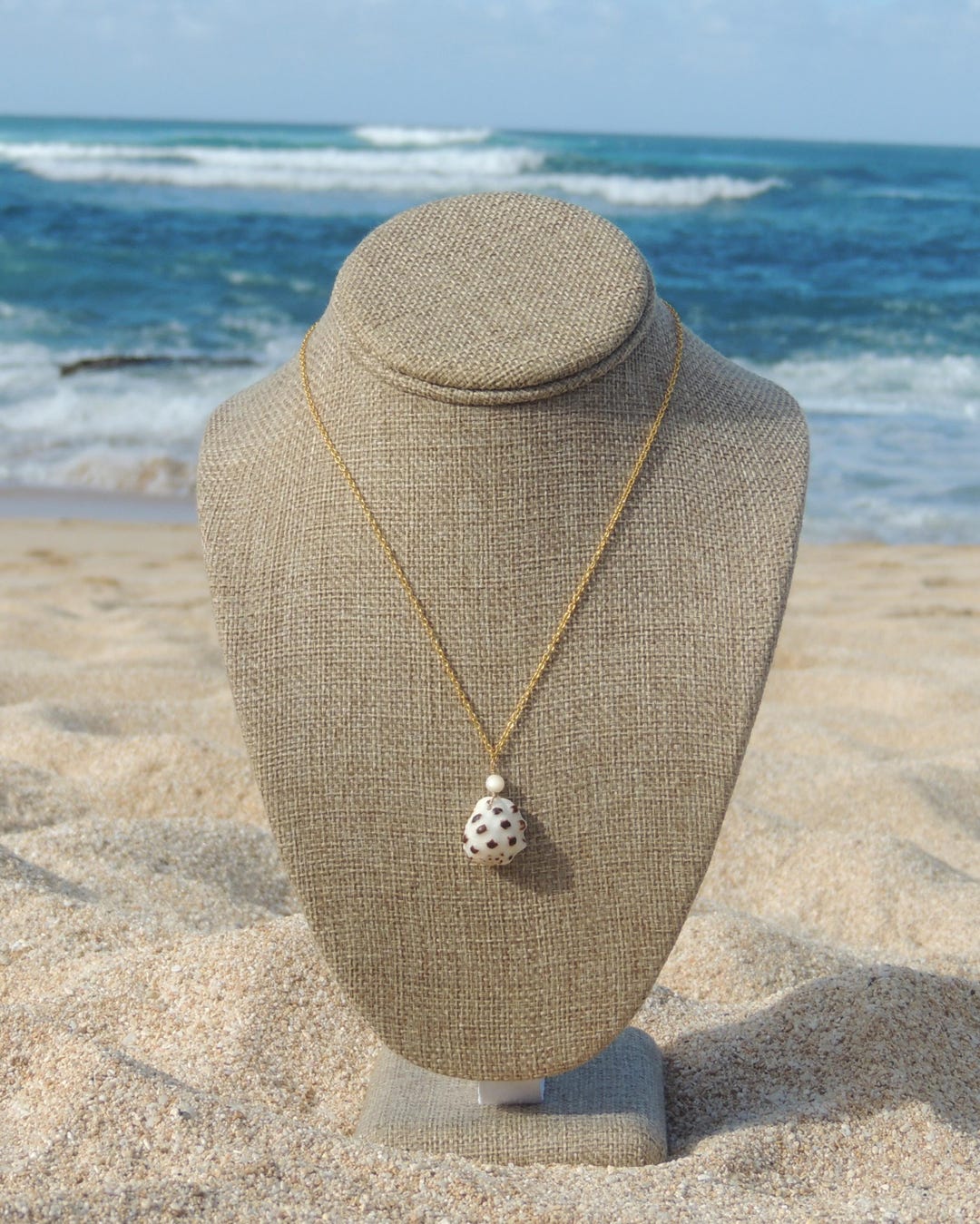 Hawaiian Drupe Shell Necklace, 18kt Gold Filled, Made in Hawaii, Gifts ...