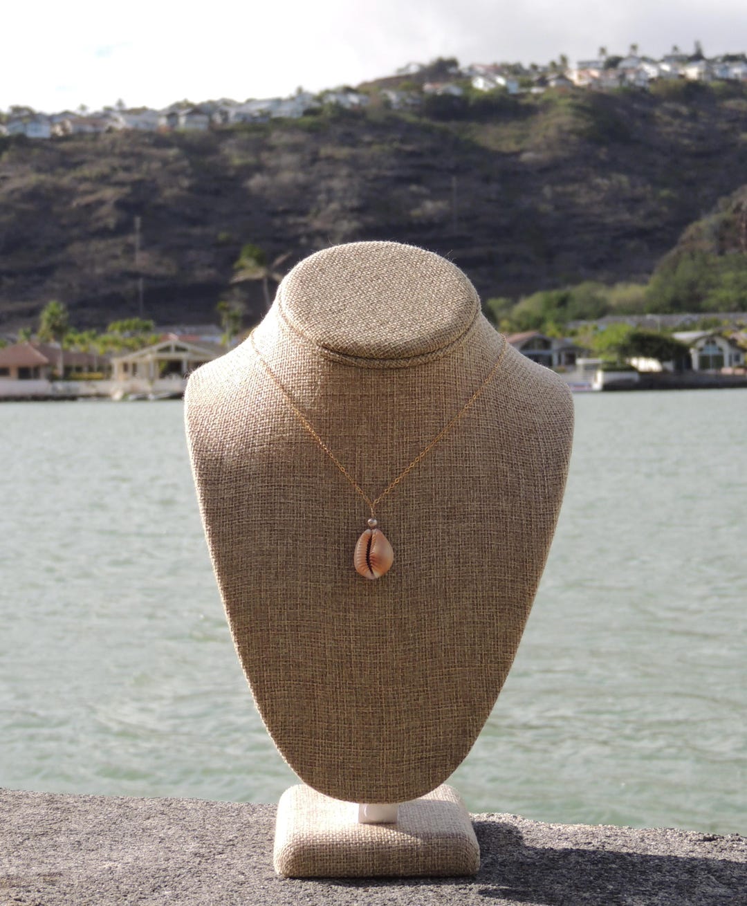 Hawaiian Honey Cowrie Shell Necklace, 14kt Gold Filled Dainty Chain ...