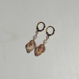 Hawaiian Triton Shell Huggies, 14kt Gold Filled Earrings, Mini ...
