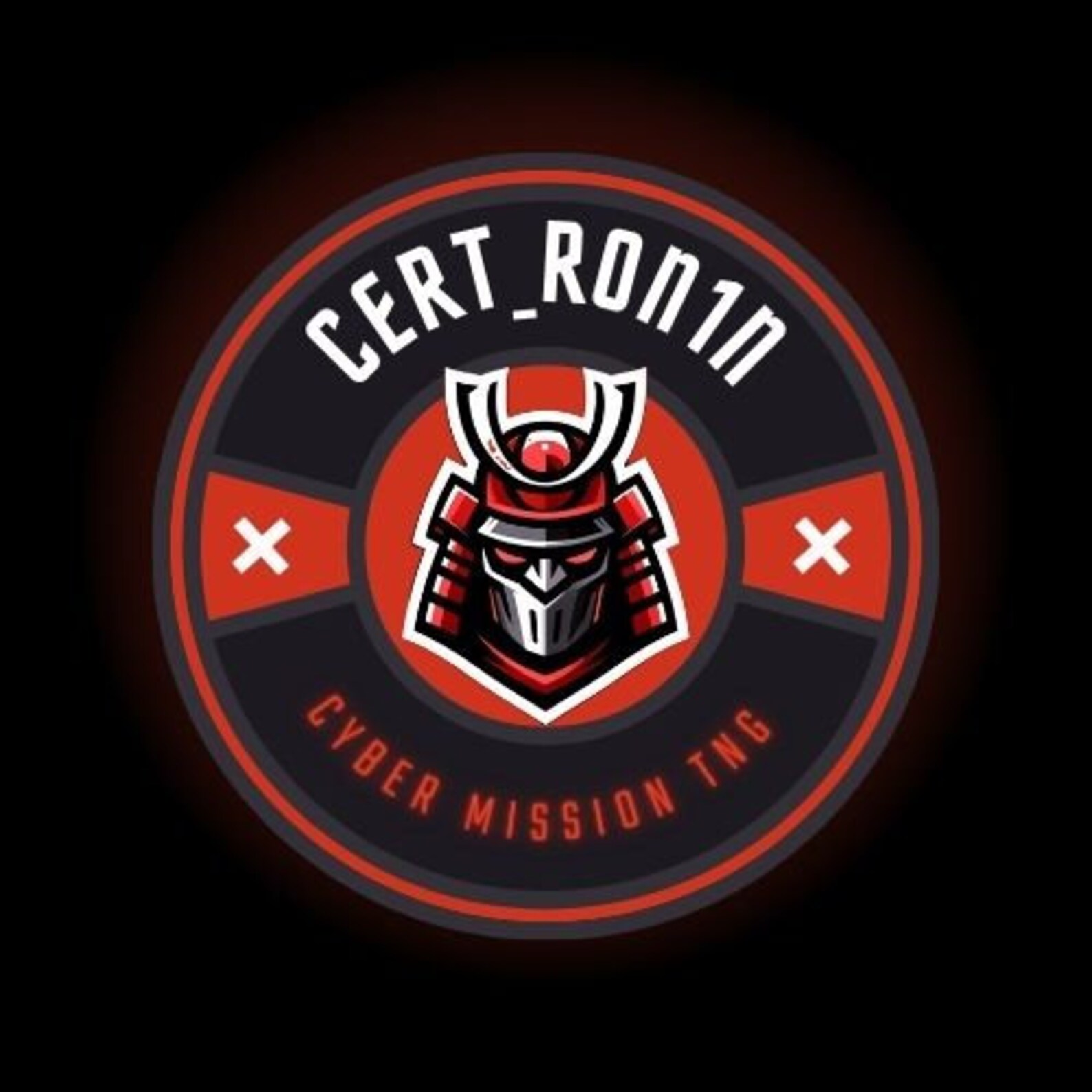 Cert Ronin's Cyber Security Bundle - Etsy