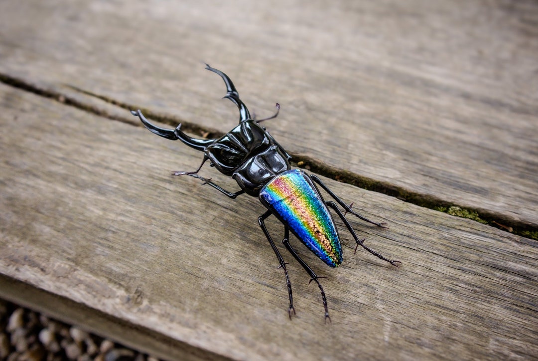 Metallic Stag Beetle Handmade Hyper Realistic Glass Insect Metallic ...