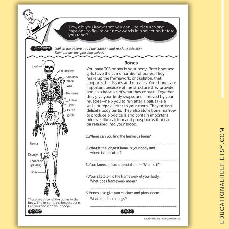 1st-9th Grade Printable Vocabulary and Reading Comprehension Passages ...
