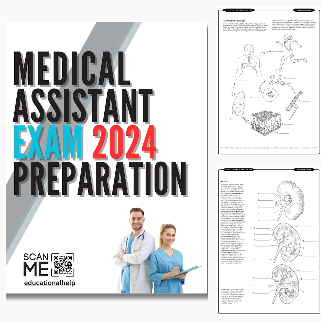 Medical Assistant Preparation, Nursing School Notes, CMA/RMA Exam ...