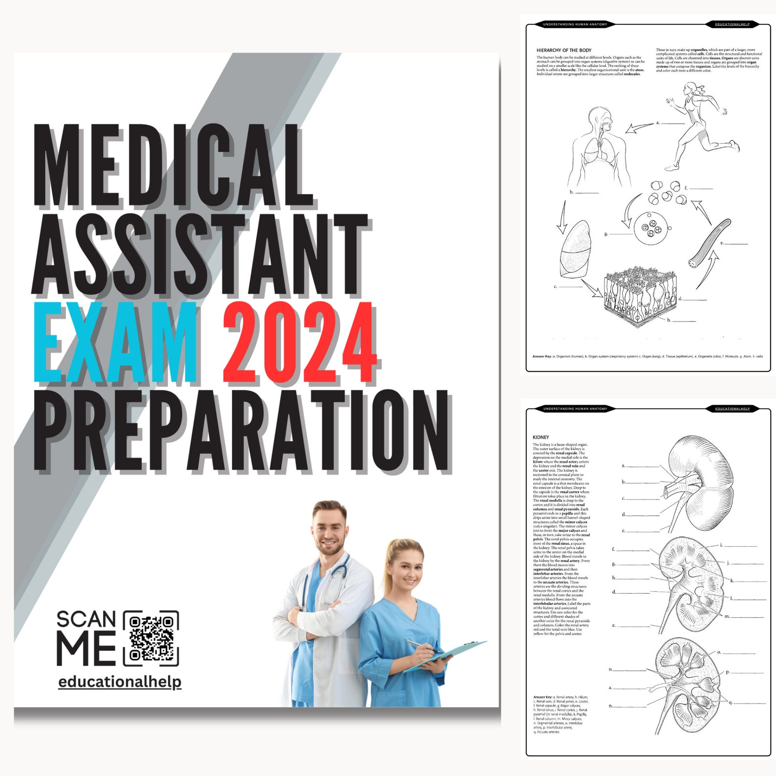 Medical Assistant Preparation, Nursing School Notes, CMA/RMA Exam ...