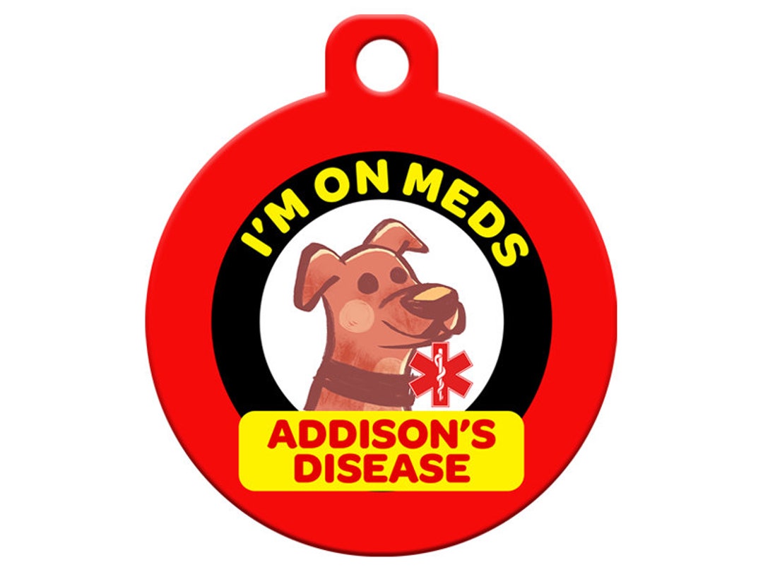 Custom Medical Dog Pet ID Tag - Any Disease/disorder on the Front, Your ...