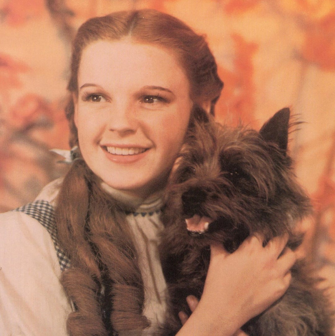 The Wizard of Oz - Dorthy & Toto - Art Print for Wall Decor Vintage ...