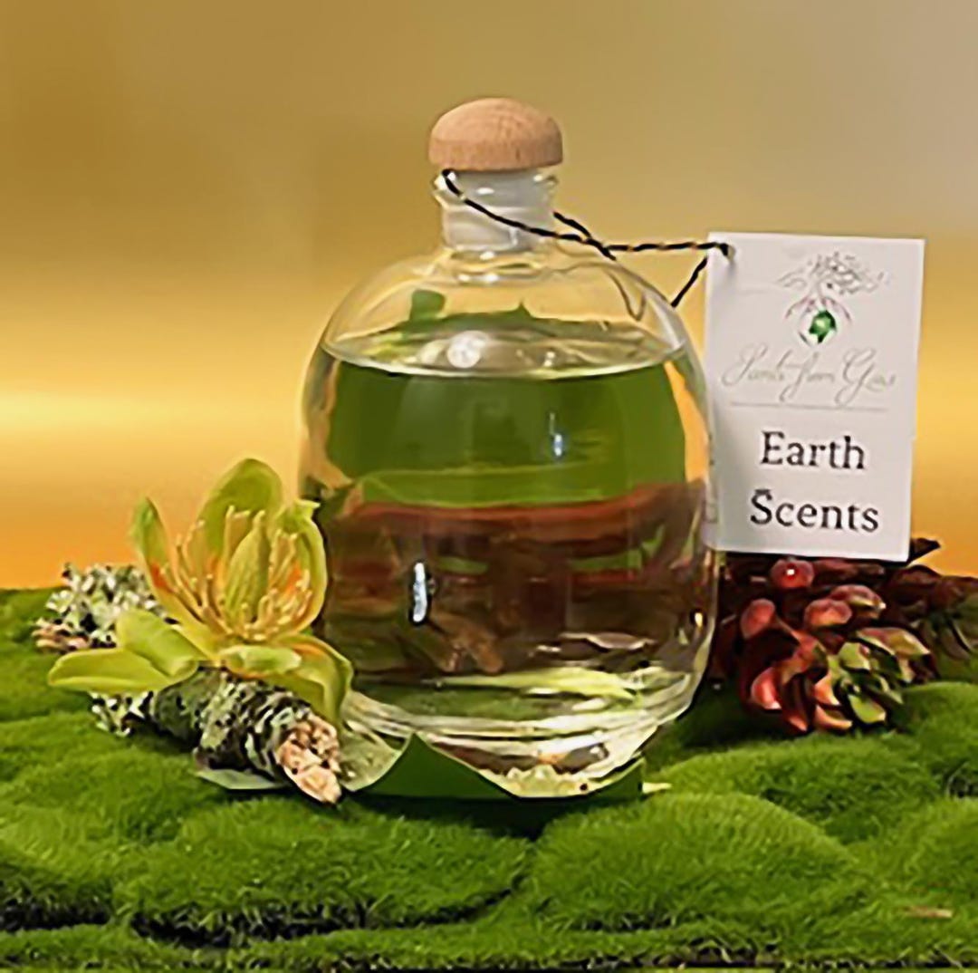 Earth Scents Catalytic Fragrance Lamp Oil: Blue Lotus, Vanilla & White ...