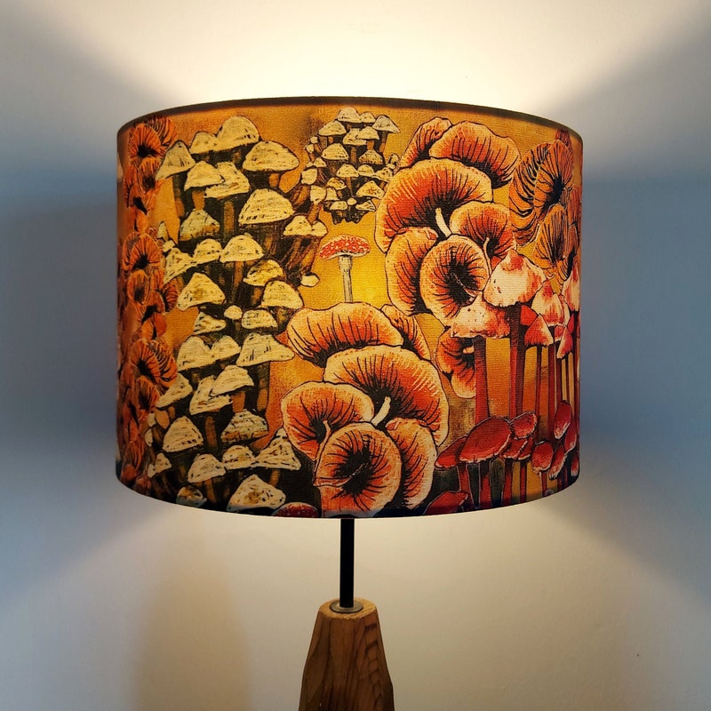Funky Lampshade - Etsy UK