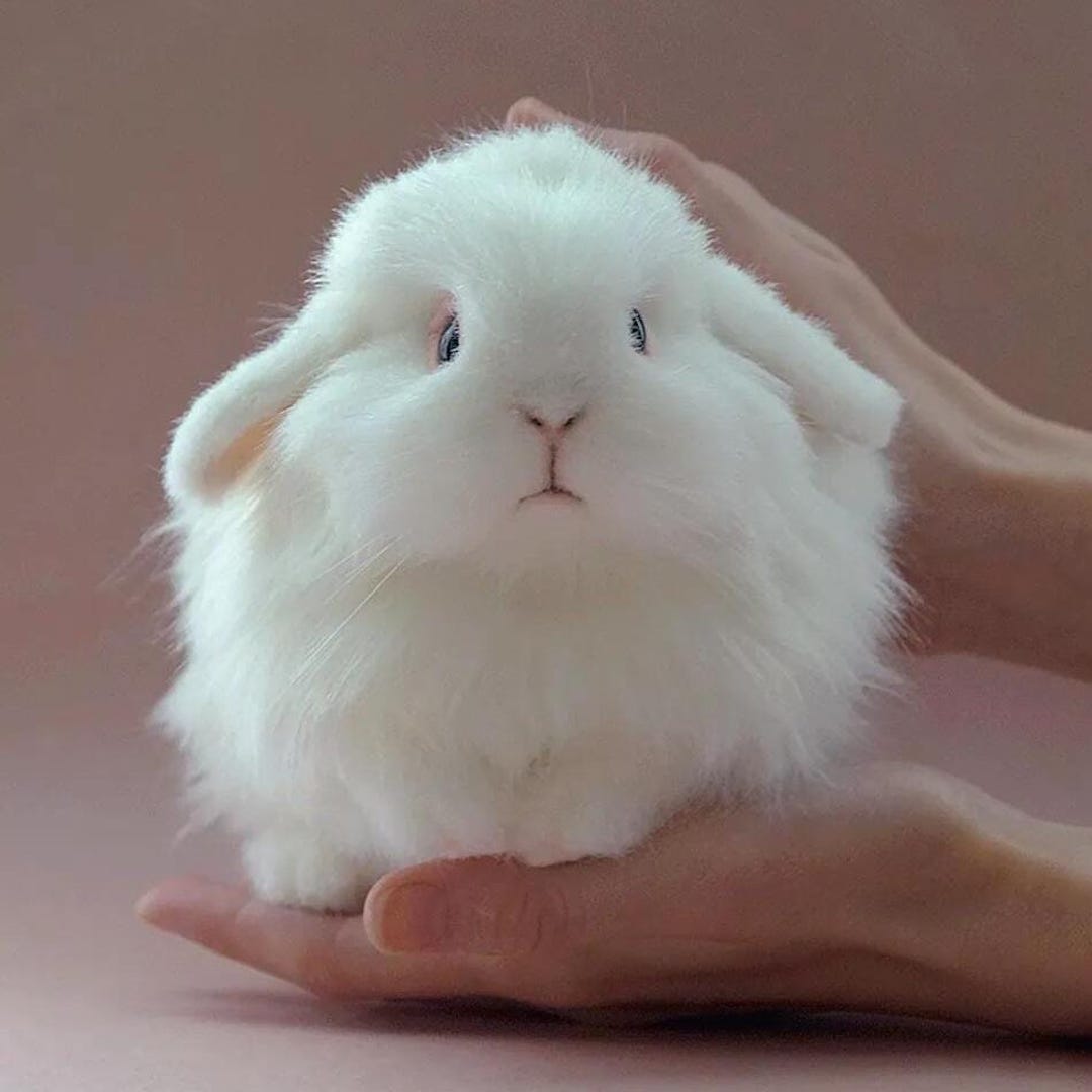 Needle Felted Lop Bunny: Handmade Wool Rabbit Figurine, Handcrafted ...