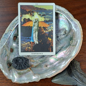 The Scarab & Dahlia Tarot by Coastal Ghost - Etsy