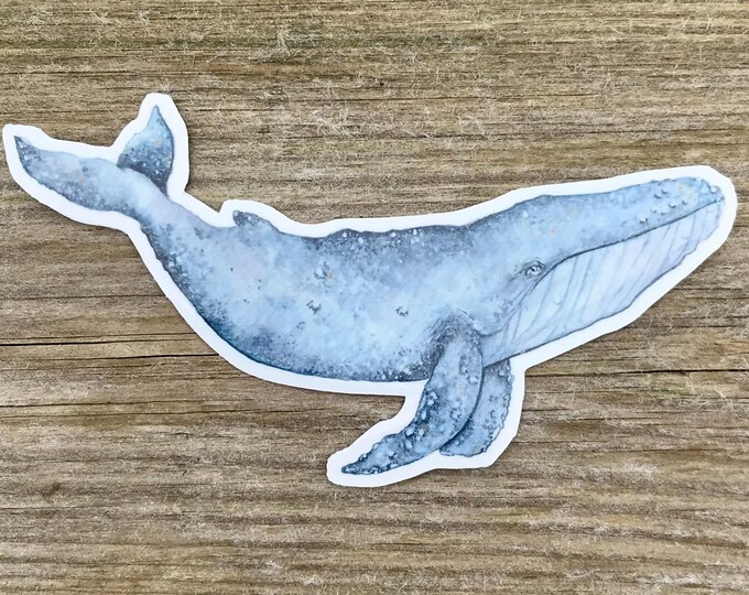 Whale Sticker, Blue Whale Sticker, Humpback Whale Sticker, Phone ...