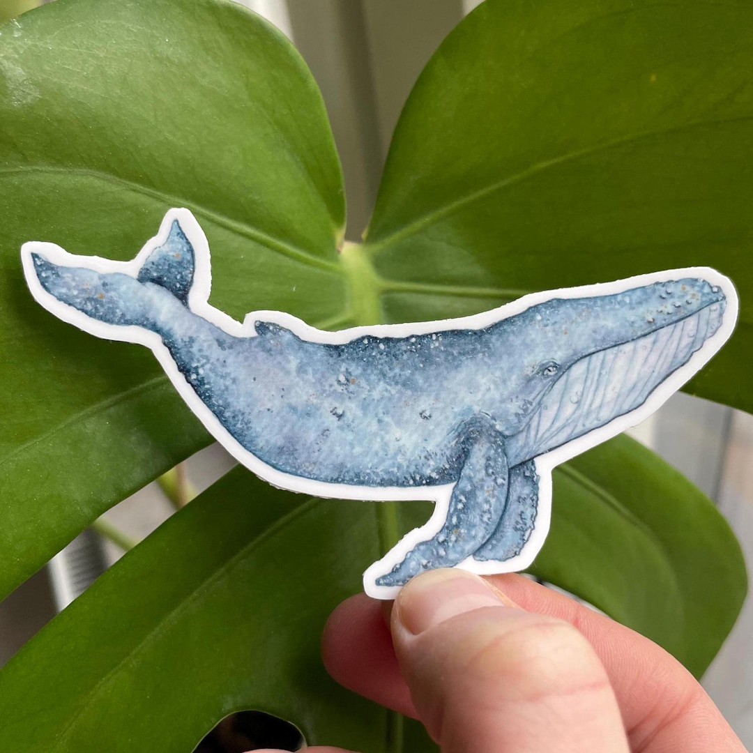 Watercolor Humpback Whale Sticker: Hand-painted Ocean Art Decal - Etsy