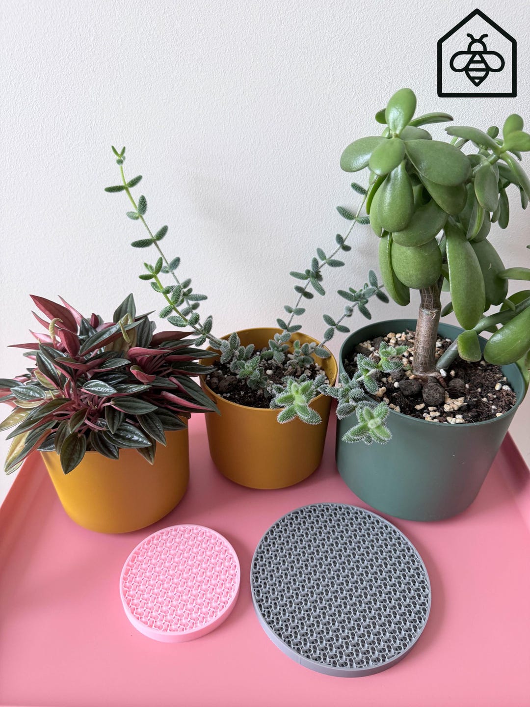 3D Printed Plant Tray for Water Retention Humidifier Minimalist Design ...