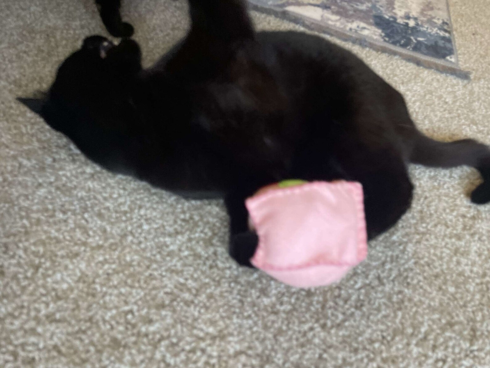 Strawberry Milk Cat Toy - Etsy