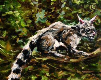 Ringtail Pencil Drawing, Printable Ringtail Art, North American ...