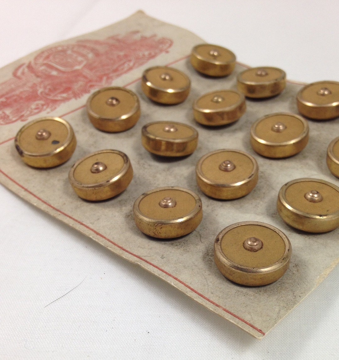 Sixteen Antique Drum Buttons on Original Card, Waist Coat Buttons - Etsy