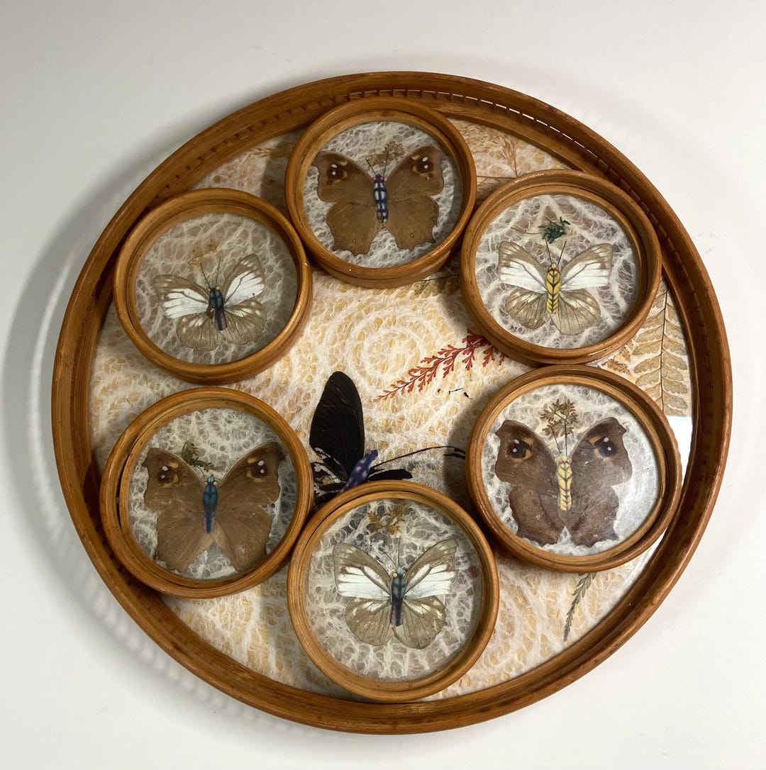 Vintage Butterfly Serving Tray With Six Coasters, Cottage Core Tray and ...