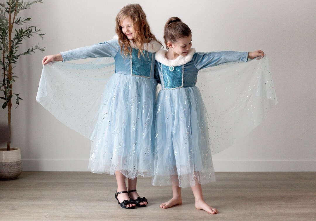 Elsa Inspired Princess Dress, Blue Winter Princess Dress Up, Winter ...