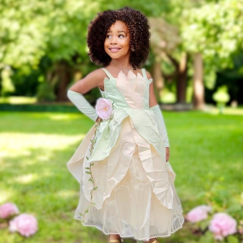 Princess Tiana Dress - Etsy