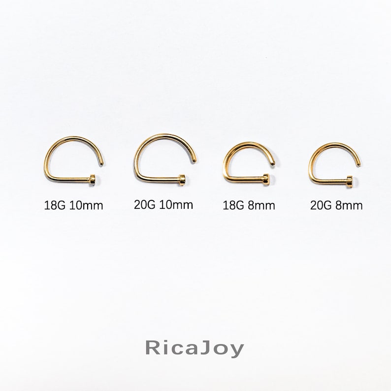 Nose Ring, D Shape Ring, D-ring, D Shape Nose Ring, Implant Grade Titanium, 20ga or 18ga, 8 or ...