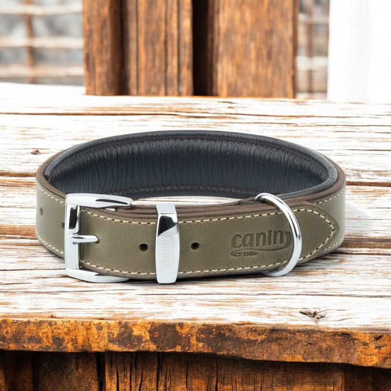 Unique Dog Collar - Etsy