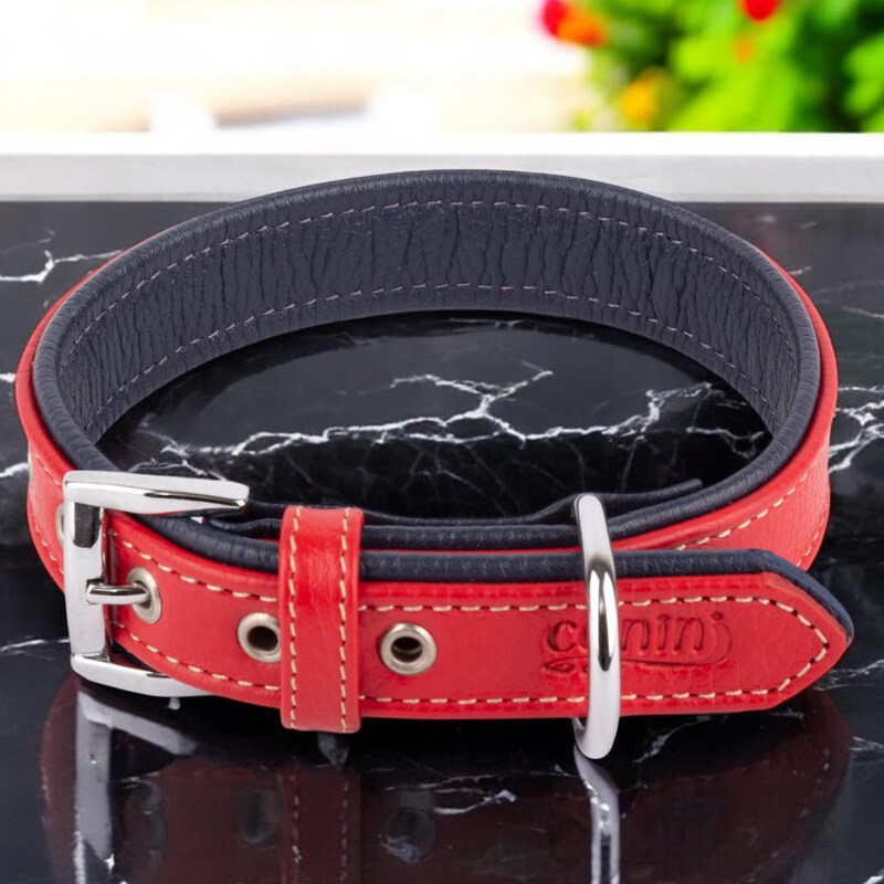 Leather Collar - Etsy