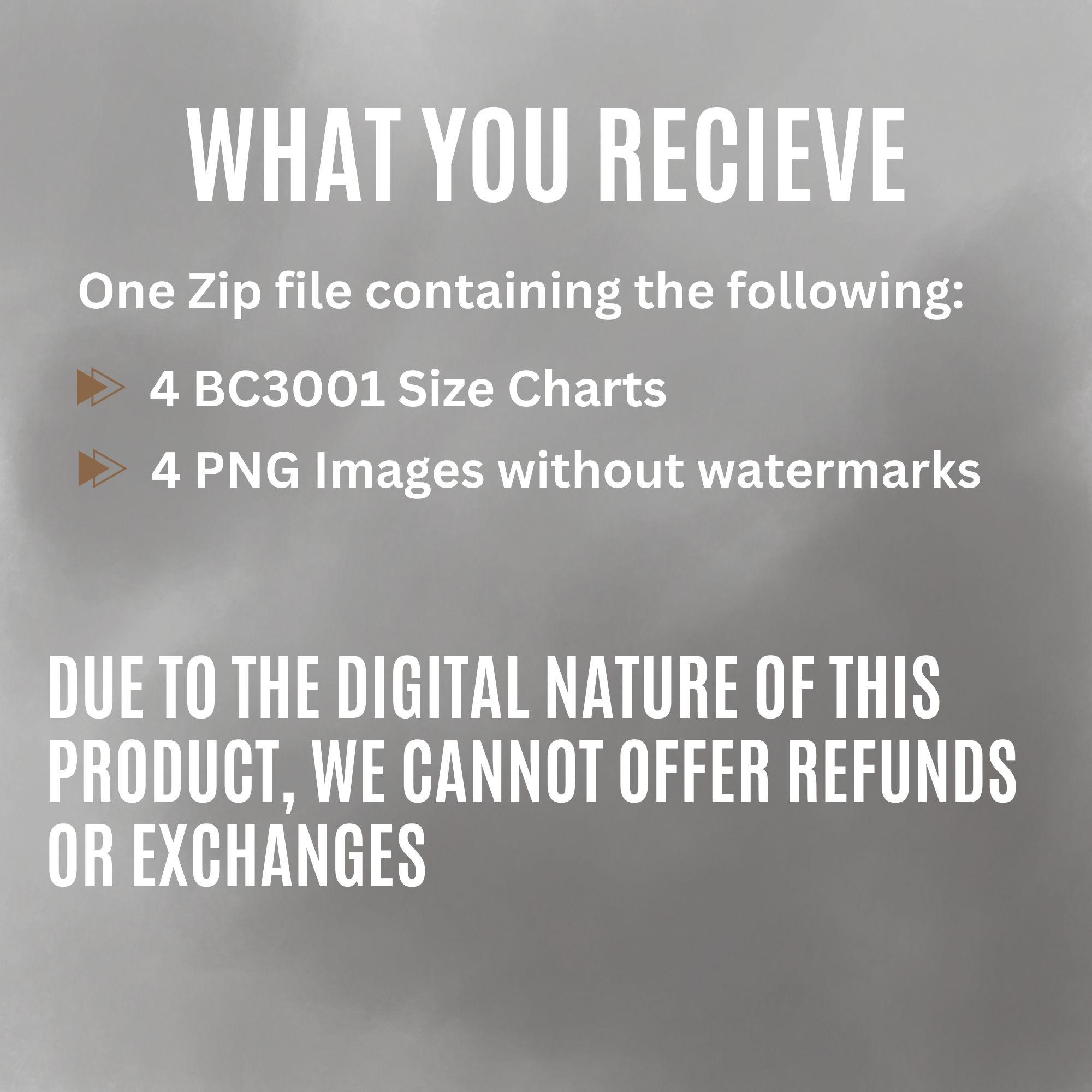 Bella Canvas 3001 Size Chart for Listing Mockups BC3001 Size Chart ...