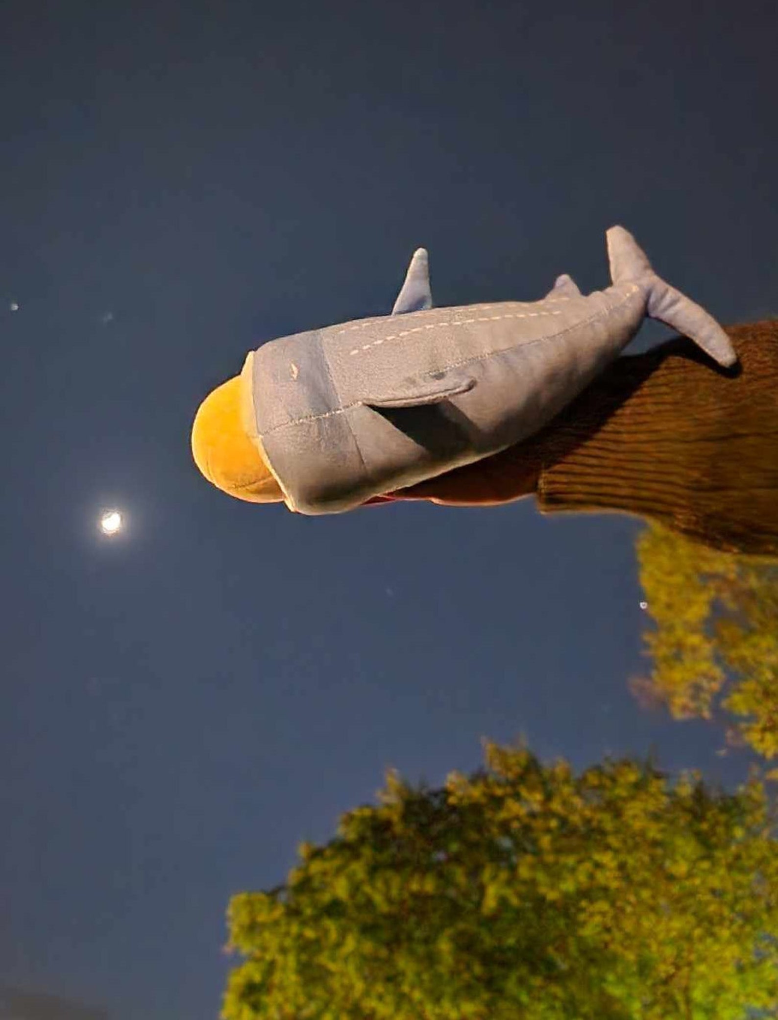 Bakunawa Plushie | Filipino Folklore | Cryptid Mythology | Moon Eater ...