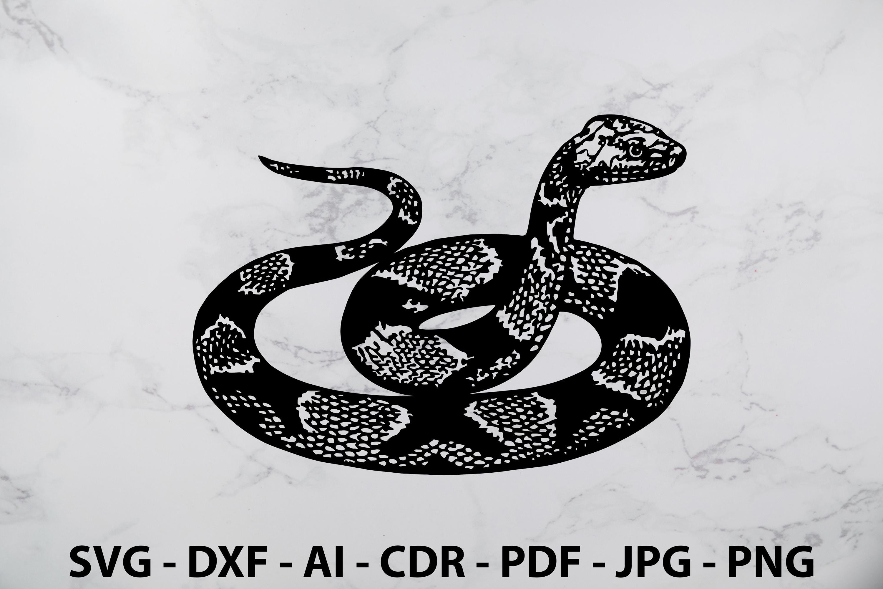 Snake Laser Cut File: Wall Art Stencil (SVG, DXF, PDF) - Etsy