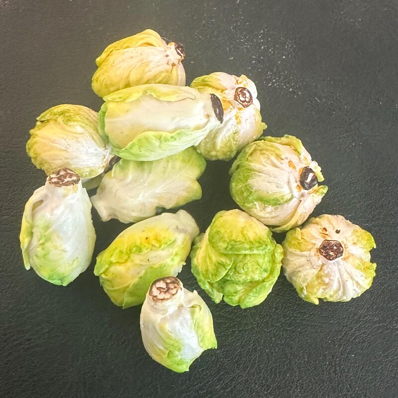 Miniature Vegetables - Etsy UK