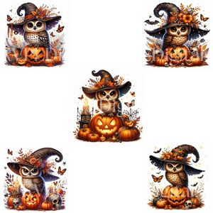 Halloween Witch Owl, 14 Jpeg Spooky Halloween Animals, Cute Creepy Bird ...