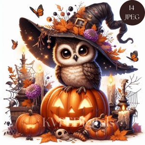 Halloween Witch Owl, 14 Jpeg Spooky Halloween Animals, Cute Creepy Bird ...