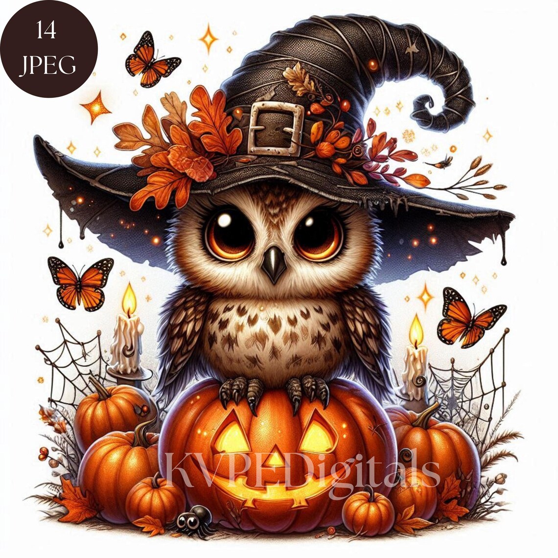 Halloween Witch Owl, 14 Jpeg Spooky Halloween Animals, Cute Creepy Bird ...
