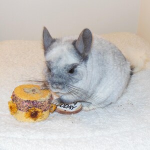 Custom Chinchilla Birthday Gotcha Day Cake With Free Tiny Hat - Etsy