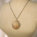 Handmade Soldered Spike Seashell Necklace in Style 'RAY' - Etsy