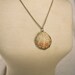 Handmade Soldered Spike Seashell Necklace in Style 'RAY' - Etsy