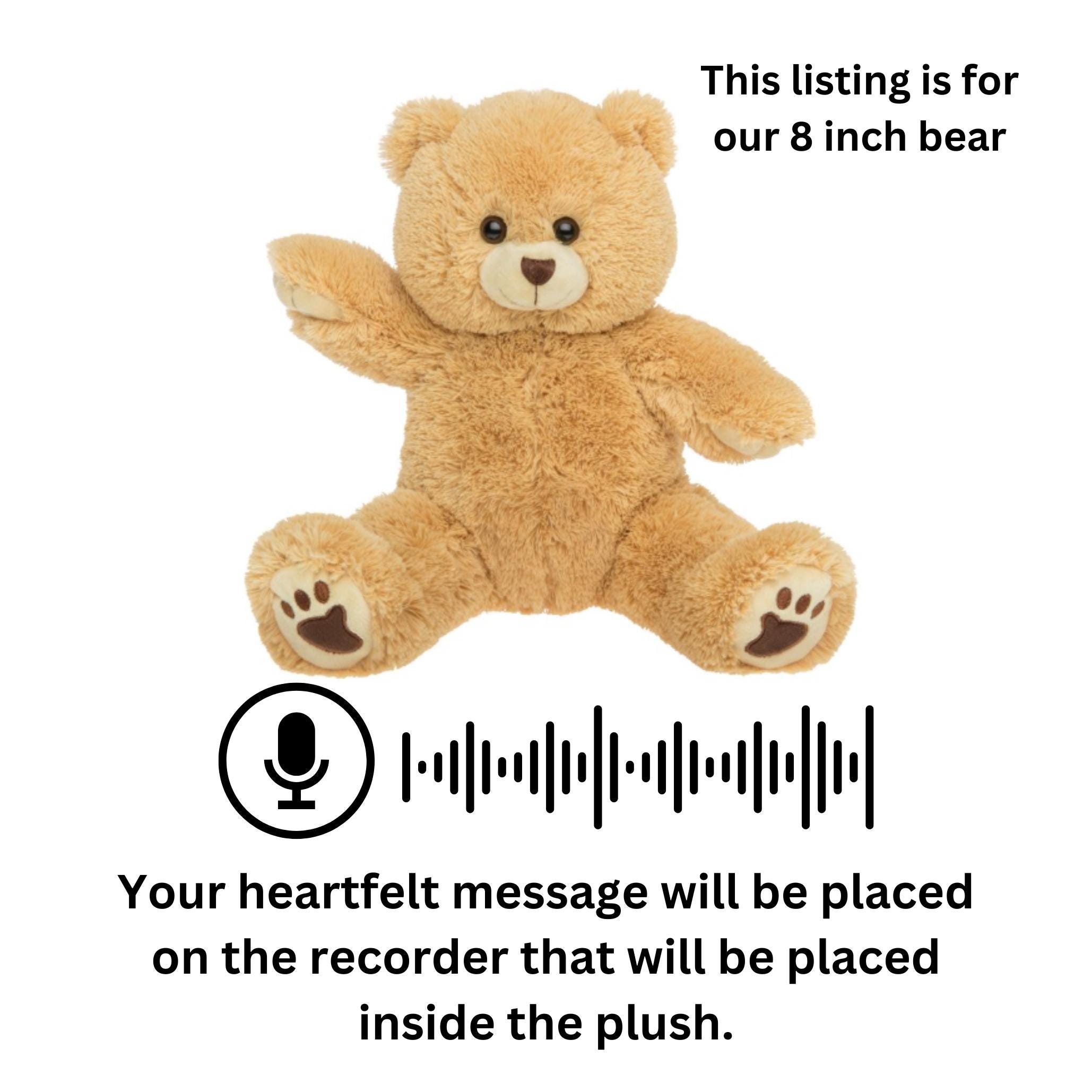 Personalized Teddy Bear: 8-inch Plushie With Voice Recording - Etsy