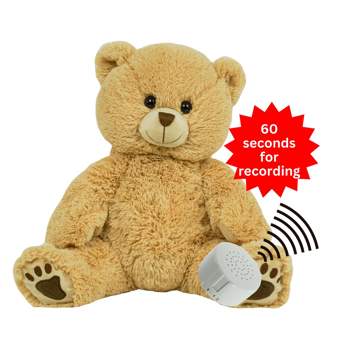 Personalized Teddy Bear: 60-second Voice Recording Plushie - Etsy