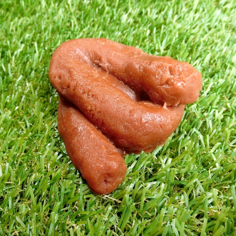 Eww, Poo - Goat's Milk Soap Bar - Etsy