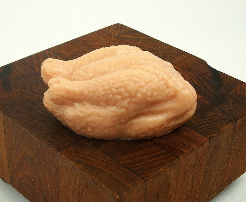 Roasted Chicken Goat's Milk Soap - Etsy